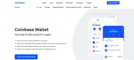 TOP 10 NFT WALLET'S FOR TRADING AND STORING NFT'S - Geekbea.com
